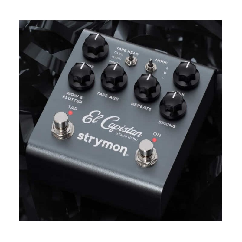 Strymon El Capistan V2 Tape Delay